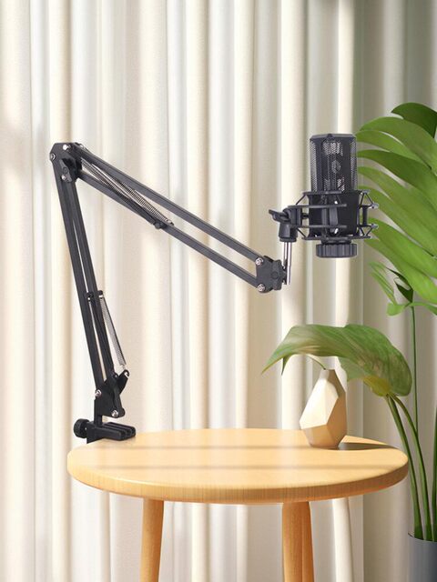 Levitt microphone shock-proof stand cantilever live singing multi ...