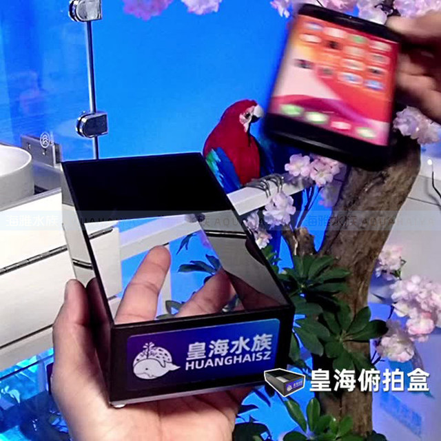 Huanghai Fish Tank Pentaging Box Coral Water Observation Mirror ...