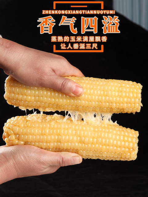 2025 Vacuum sweet white sweet glutinous corn glutinous corn cob soft ...