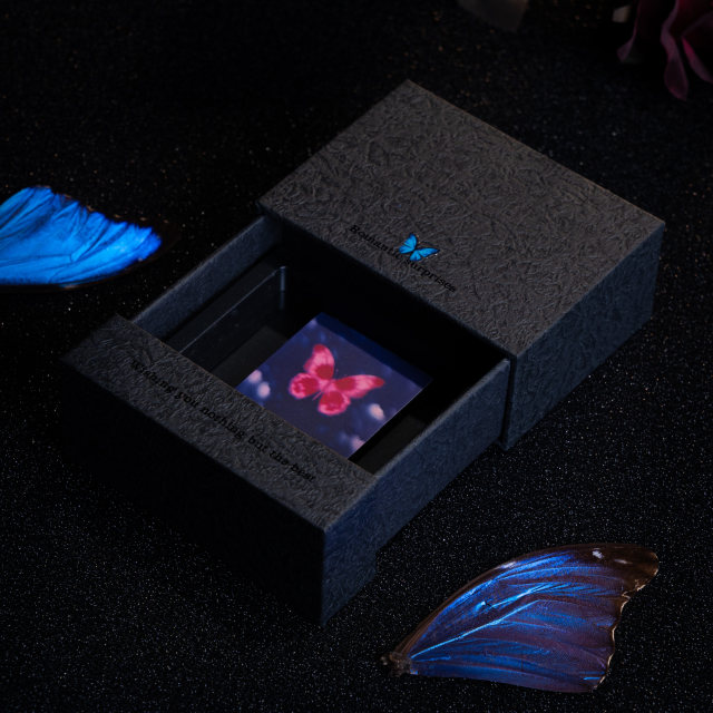 Blue flash butterfly bracelet made of real butterfly, niche temperament ...