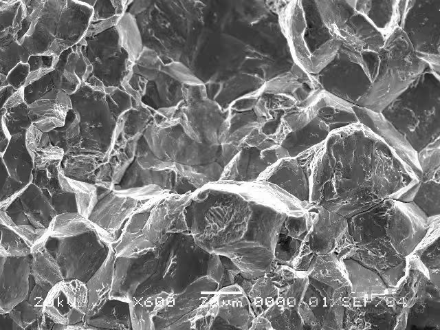 SEM test Scanning electron microscope high quality fast speed No charge ...