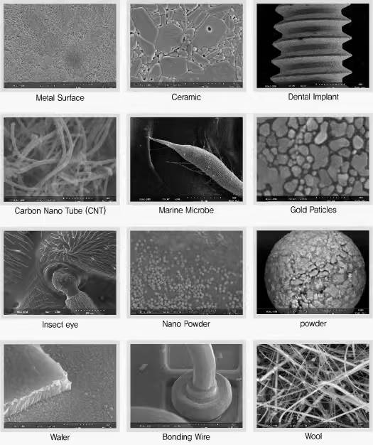 SEM test Scanning electron microscope high quality fast speed No charge ...