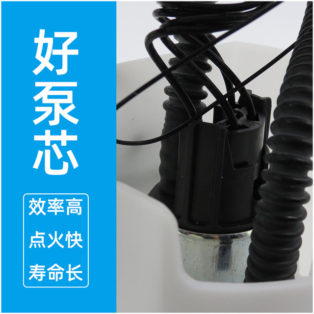 Peugeot 308 307 508 Citroen C4L Sega 408 3008 206 C5 fuel pump gasoline ...