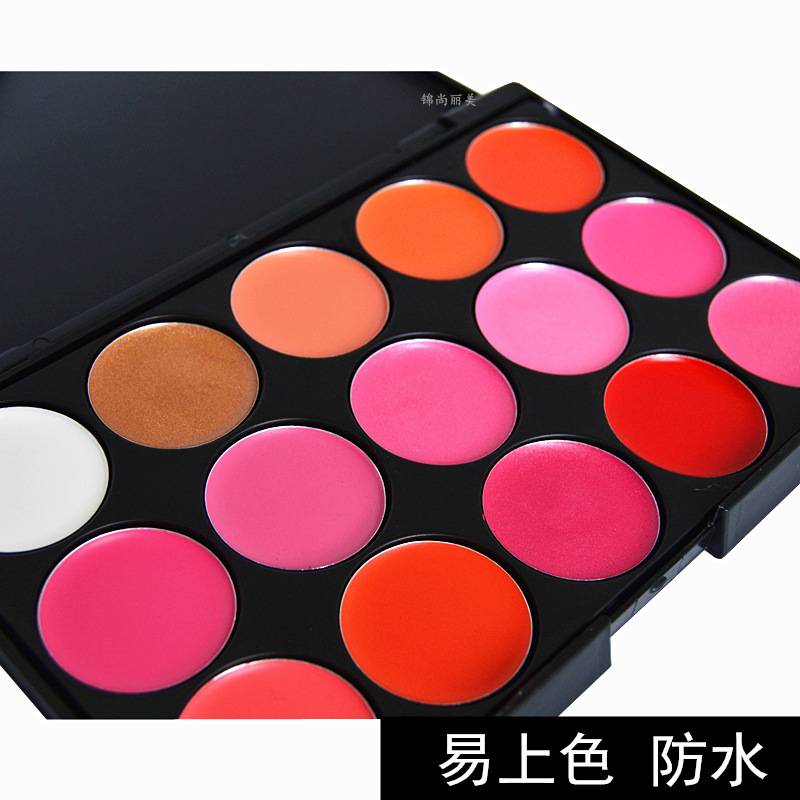 Lipstick plate lip color plate lipstick plate combination makeup artist ...
