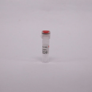 R8061 RNasin Inhibitor RNA酶抑制剂 Solarbio 科研用-阿里巴巴