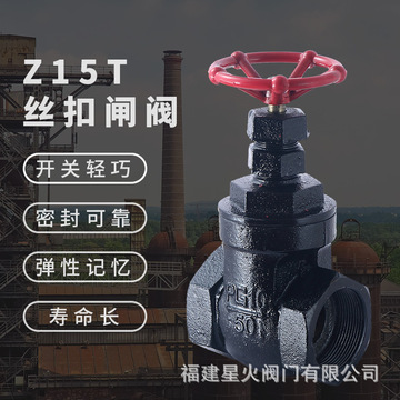Z15T丝口硬密封闸阀 球墨铸铁 内螺纹闸阀 丝扣闸阀Z15T-10/16Q-阿里巴巴