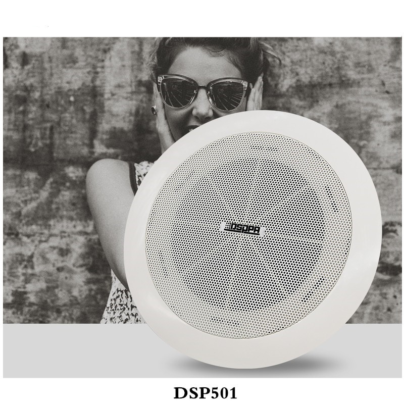 dsppa迪士普喇叭-dsppa迪士普喇叭批发、促销价格、产地货源 - 阿里巴巴