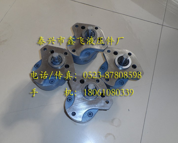 CB-B16R B20R B25R B32R带耳朵型齿轮油泵 侧进侧出油口两边-D-阿里巴巴
