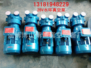 厂家淄博2BV(SKA)2060水环式真空泵-阿里巴巴