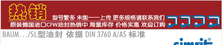 德国进口Simrit CFW油封 高温高压氟胶骨架油封BAUMSL 160*190*15-阿里巴巴