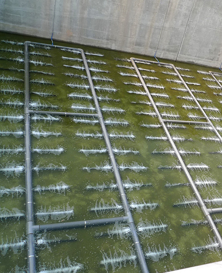 厂家直销 管式曝气器 微孔曝气管 可提升气曝气管 质优价廉-阿里巴巴