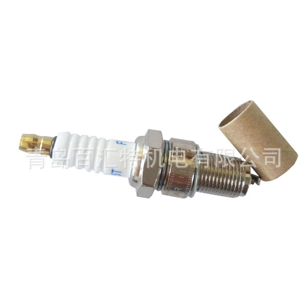 瓦格纳960 970 高压无气喷涂机发动机启动 火花塞 火嘴 - 汽配批发网