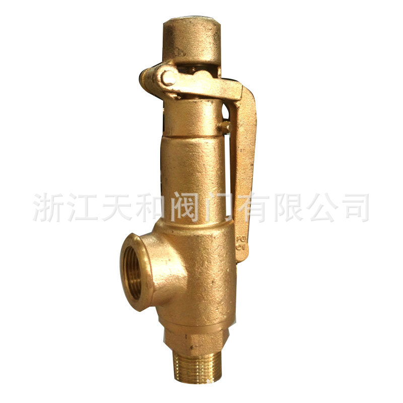 厂家直销a27w-16t 弹簧微启式手柄外螺纹安全阀 黄铜阀门厂家 - 阀批发网
