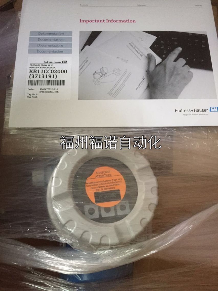 E+H波流量计91WA1系列 91WA1-AA1B10ACA4AA 超声波 德国-阿里巴巴
