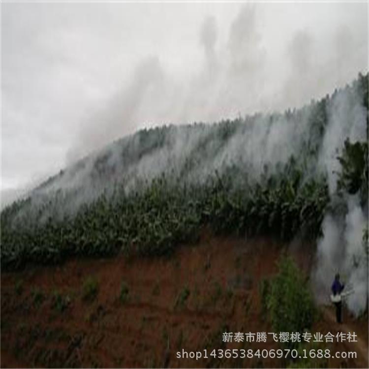 批发江苏宏大烟雾机 泰安 蒙阴 莱芜 新泰 宏大烟雾机 - 机械设备批发网