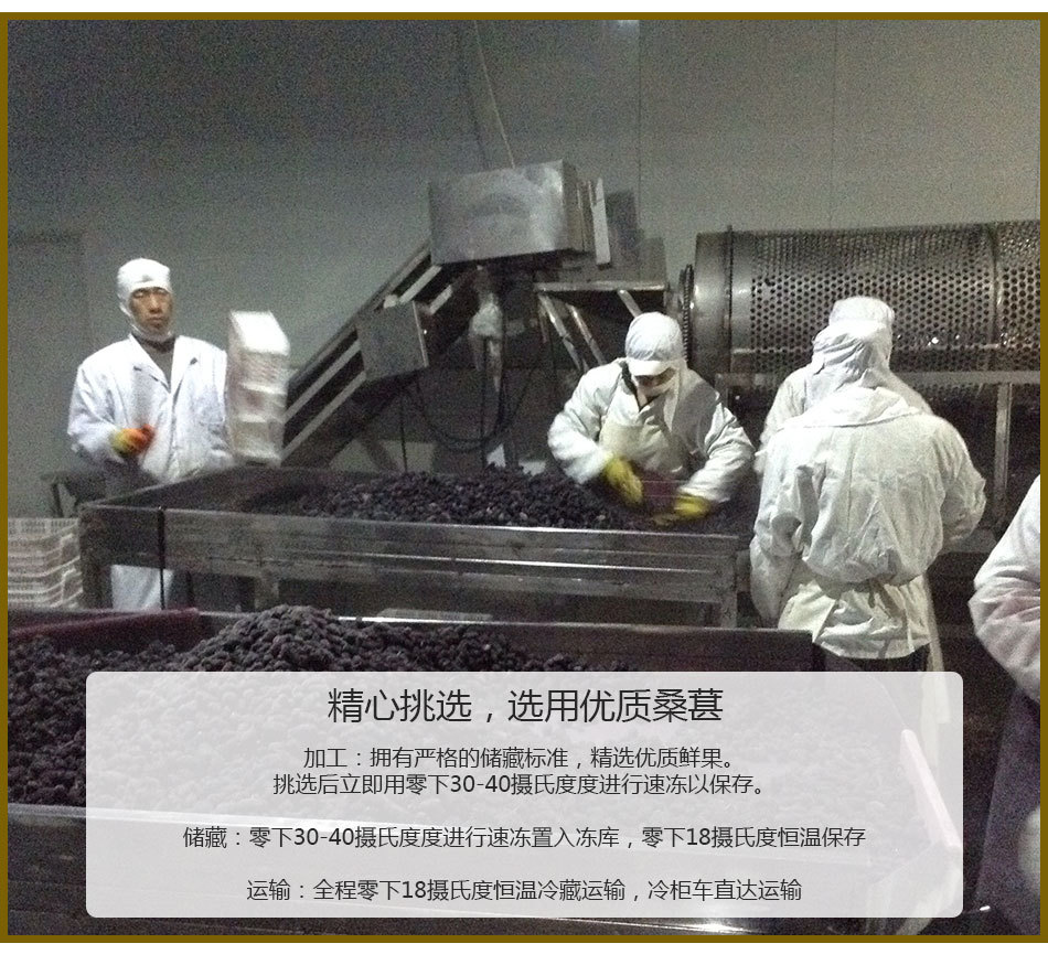 供应速冻桑葚冷冻果用于桑葚果酒榨汁冷冻桑葚子 攀枝花 爱施丽桑果果速冻桑葚 食品商务网 9701