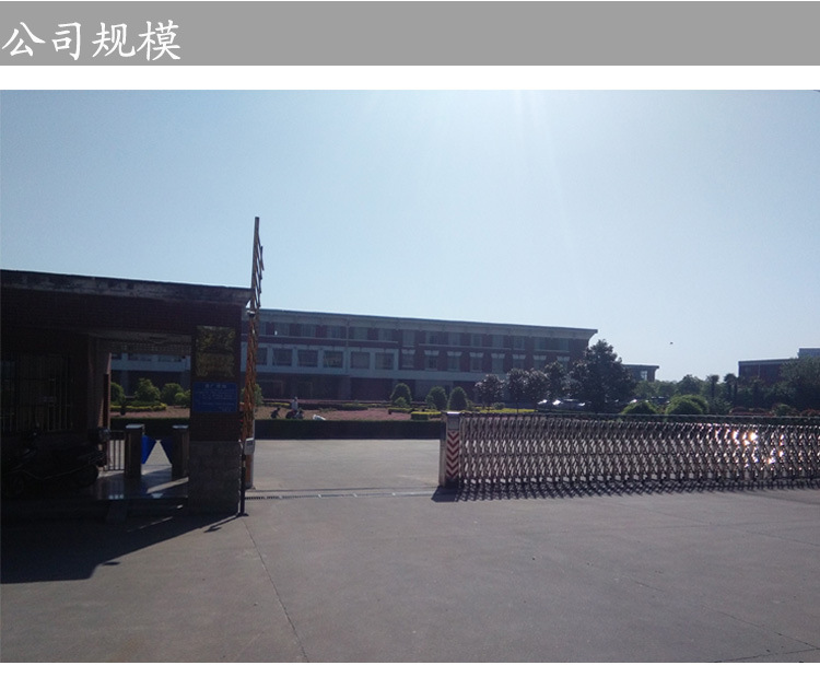 鲸蜡硬脂醇聚氧乙烯醚-30，Ceteareth-30，鲸蜡硬脂醇醚A-30-阿里巴巴