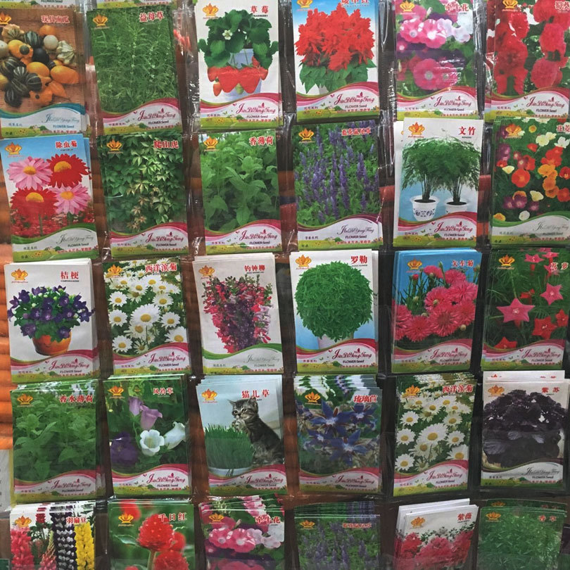 花卉种子批发 勿忘我康乃馨 凤仙花 薰衣草等各种花种子 - 苗木批发网