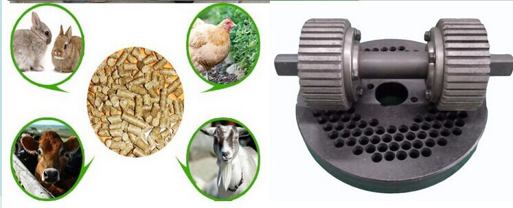 饲料加工设备，饲料颗粒机，养猪饲料颗粒机价格HFJX - 机械设备批发网