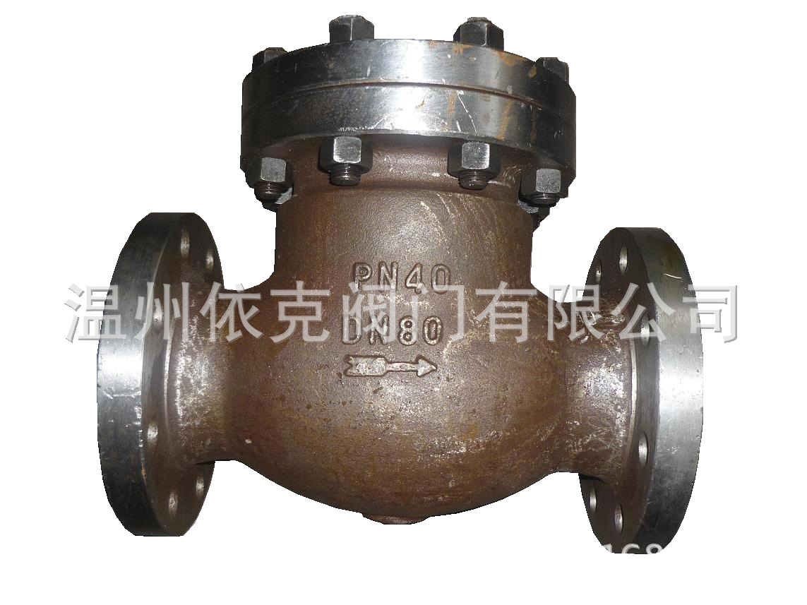 国标/俄标 H44H-16C DN600 铸钢双支架明杆硬密封电动法兰止回阀 - 阀批发网