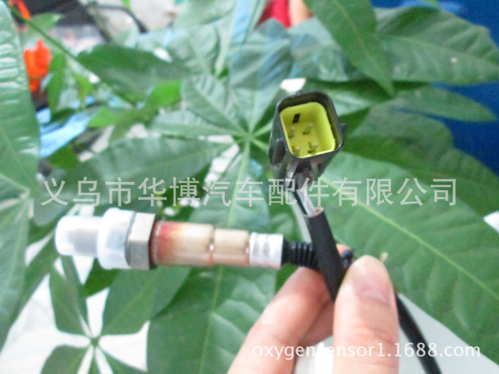 适用现代伊兰特雅绅特索纳塔悦动老款氧传感器 39210-23800传感器-阿里巴巴