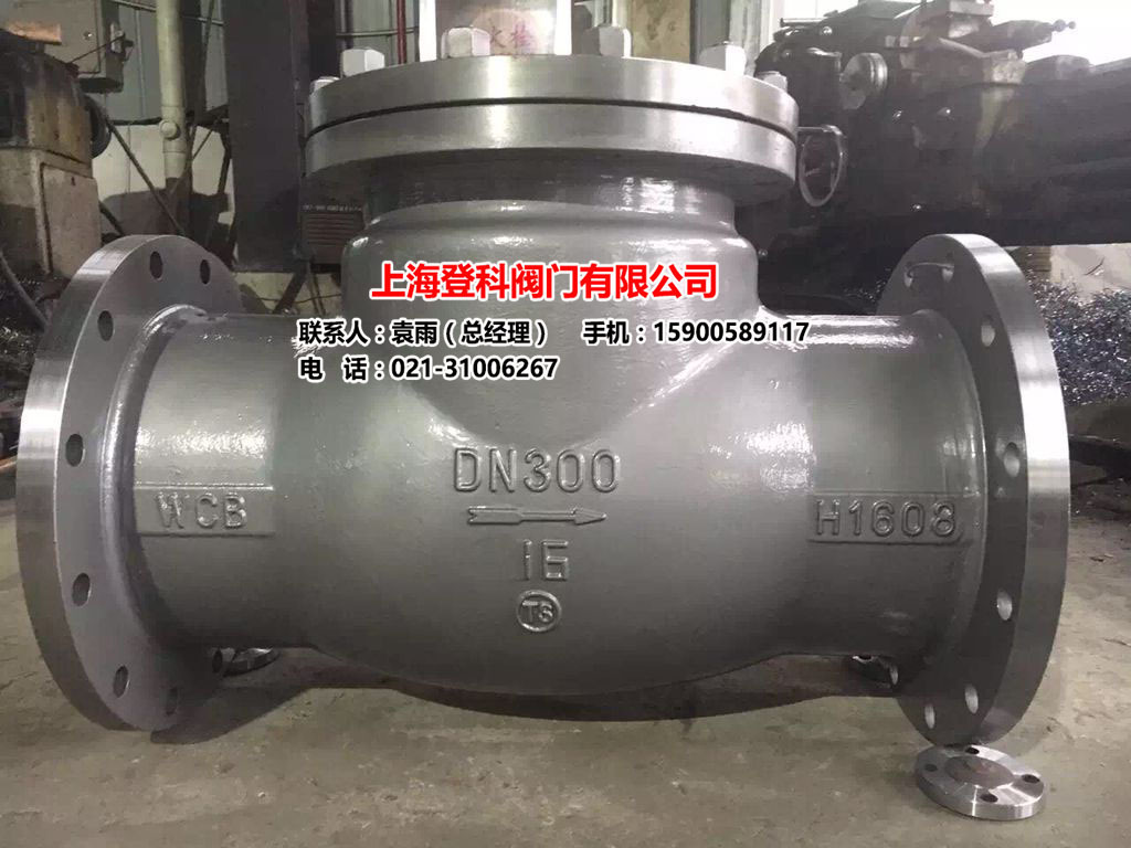 H44H-16C DN300旋启式铸钢止回阀厂家直销 - 阀批发网