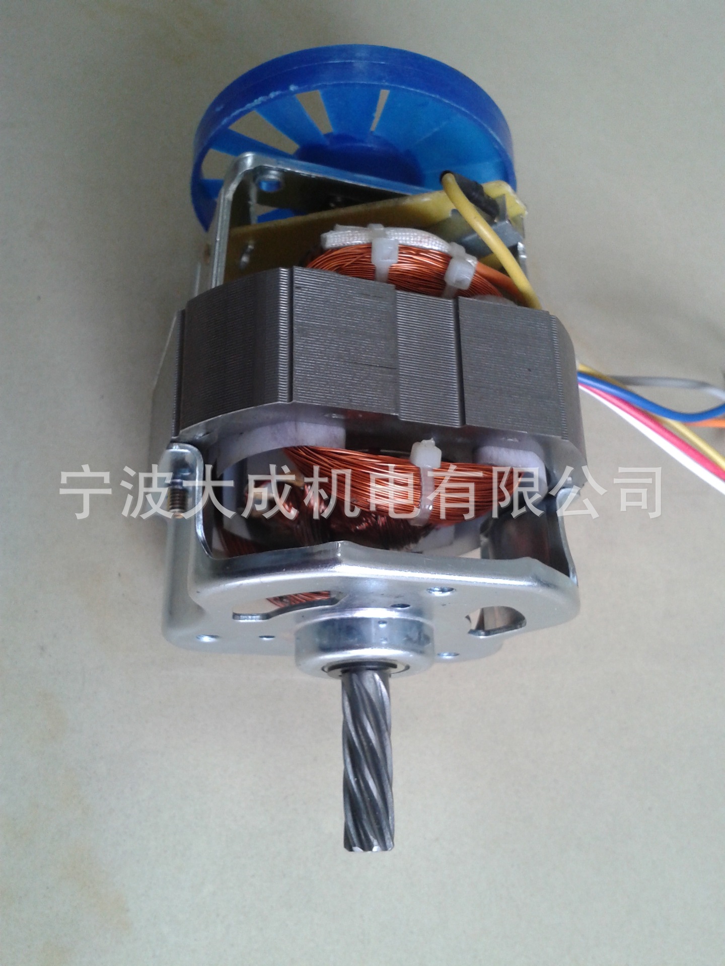 Meat Grinder Motor, Slow Juicer Motor, Food Mixer Motor Two-way Speed ...