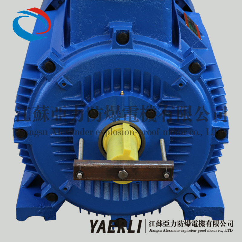 YB3/YBX3-315S-4-110KW 防爆电机三相异步电动机矿用防爆电机-阿里巴巴