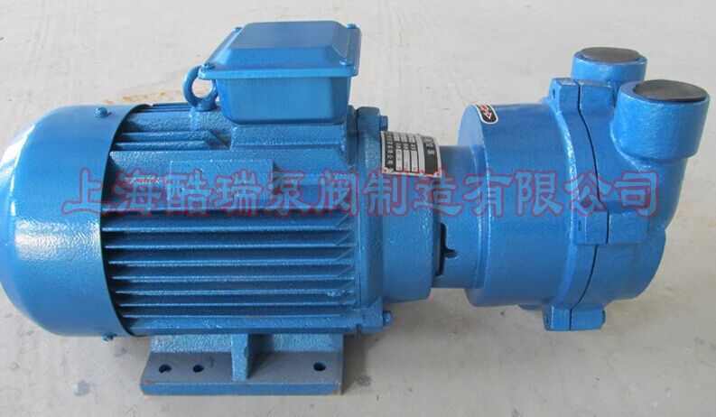 2BV2061气体捕集泵 SKA-2061水环真空泵 不锈钢水环式真空泵 - 泵批发网