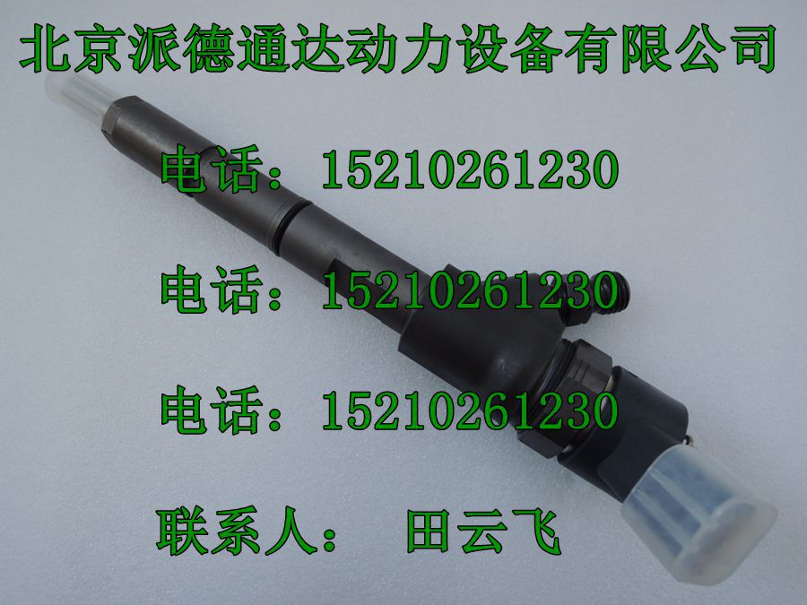 出售博世0445110307喷油器/BOSCH0445110307喷油器/0 445 110 307-阿里巴巴
