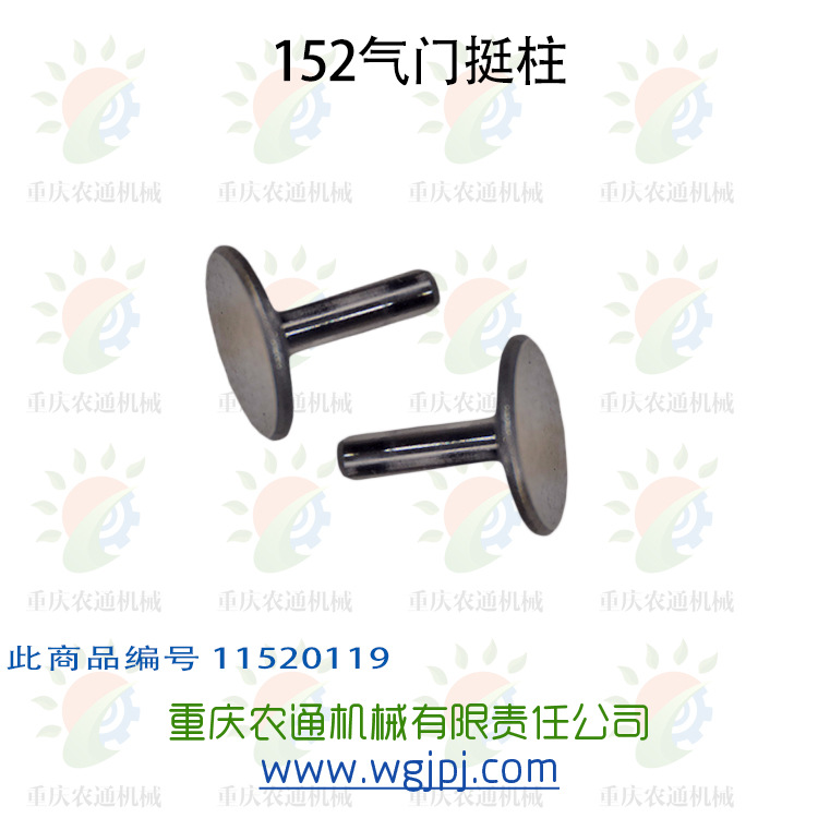 152F汽油机 挺柱 气门挺柱 - 汽配批发网