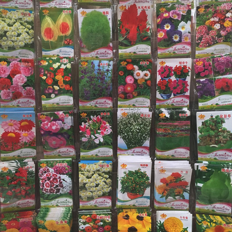 花卉种子批发 勿忘我康乃馨 凤仙花 薰衣草等各种花种子 - 苗木批发网