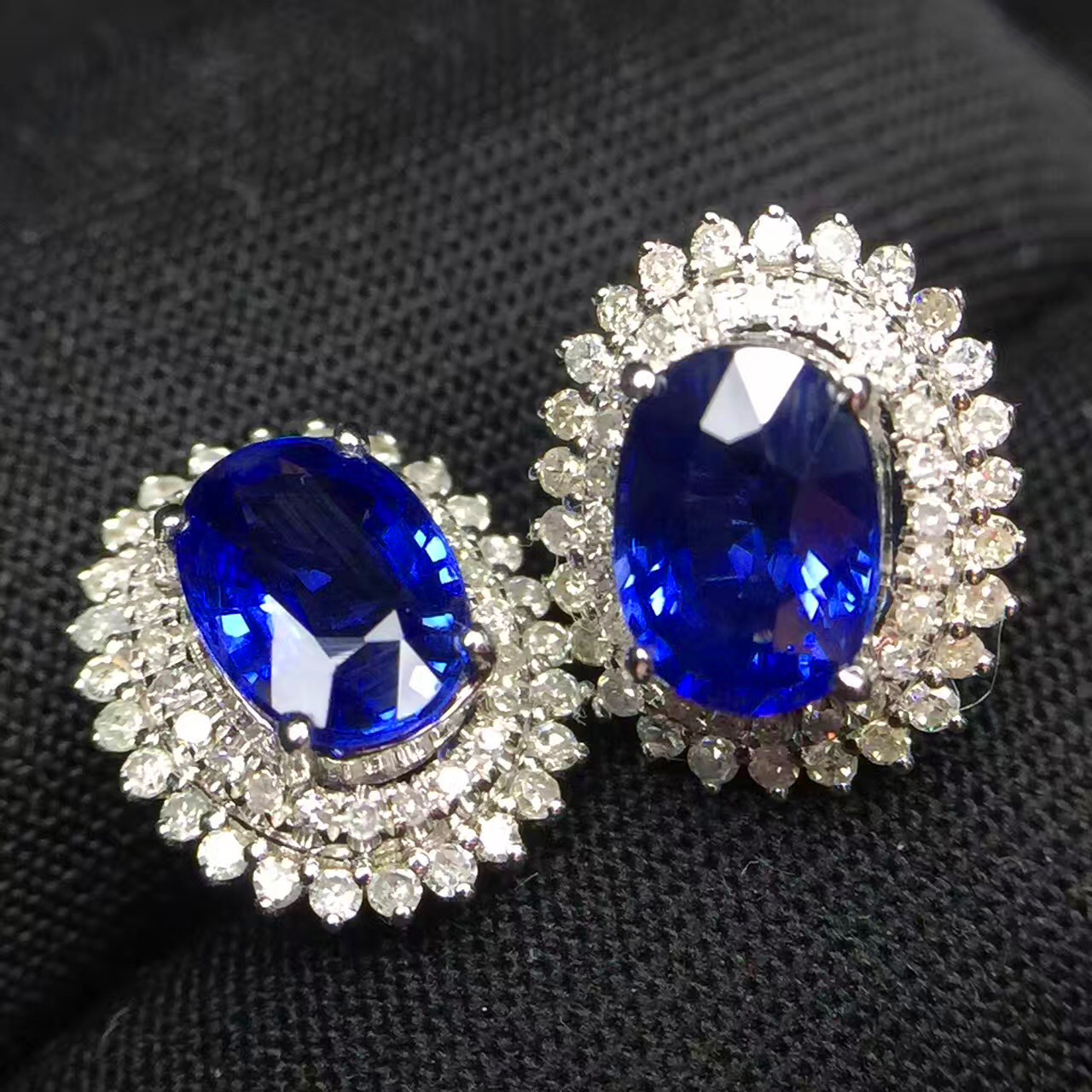 戴妃款蓝宝石耳钉,蓝宝石戴妃款_大山谷图库