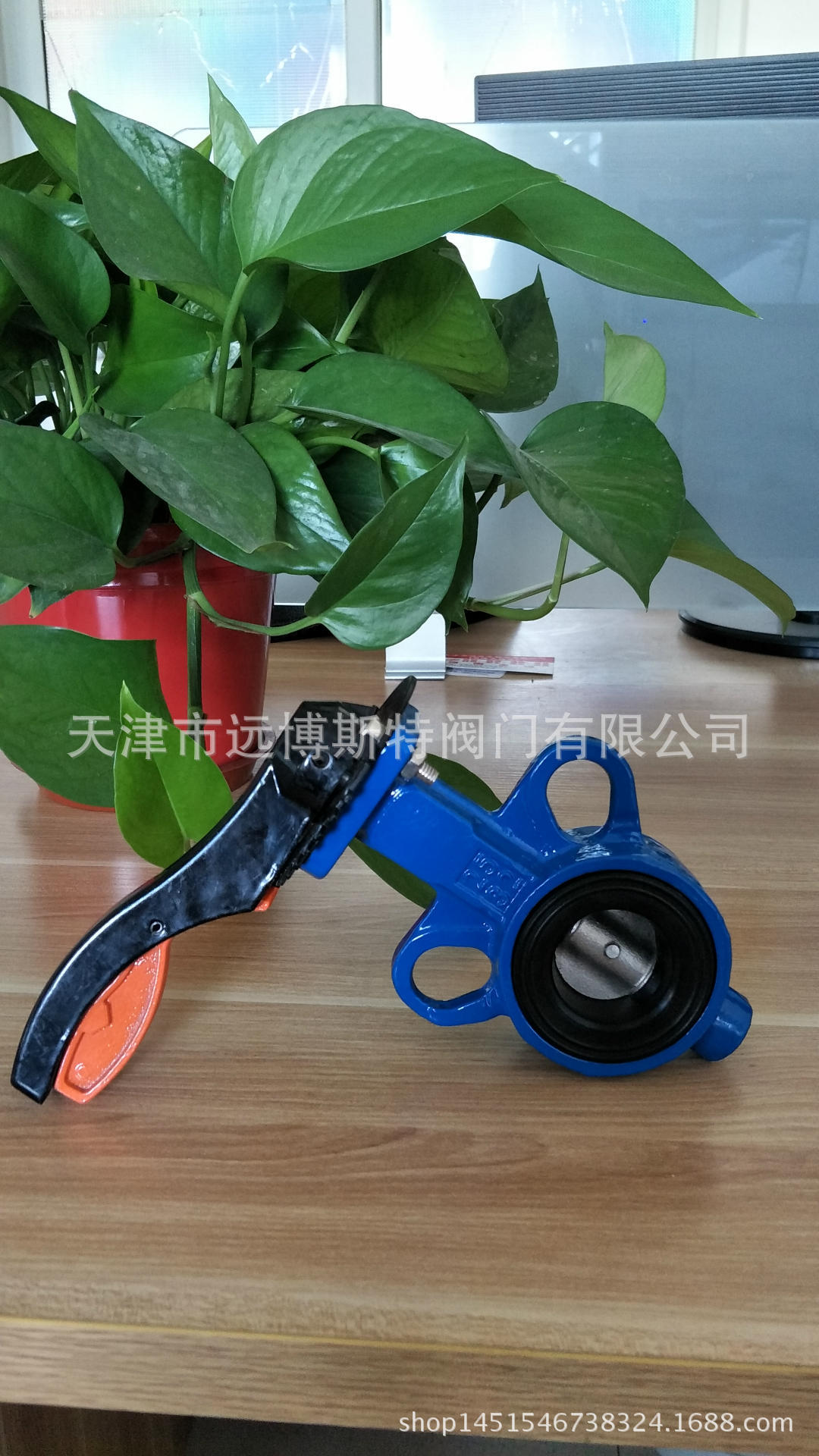 D71X-10/16 DN25 DN32蝶阀 304板 小口径蝶阀 、铝手柄对夹蝶阀-阿里巴巴