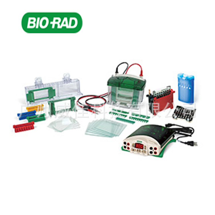 BIO-RAD伯乐 小垂直板电泳转印系统 成套（电泳槽+转印槽+电泳）-阿里巴巴