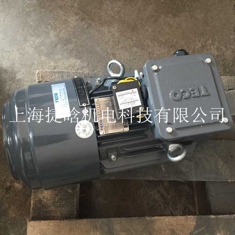 TECO东元电机 AEEF/AEVF系列三相异步电动机-阿里巴巴