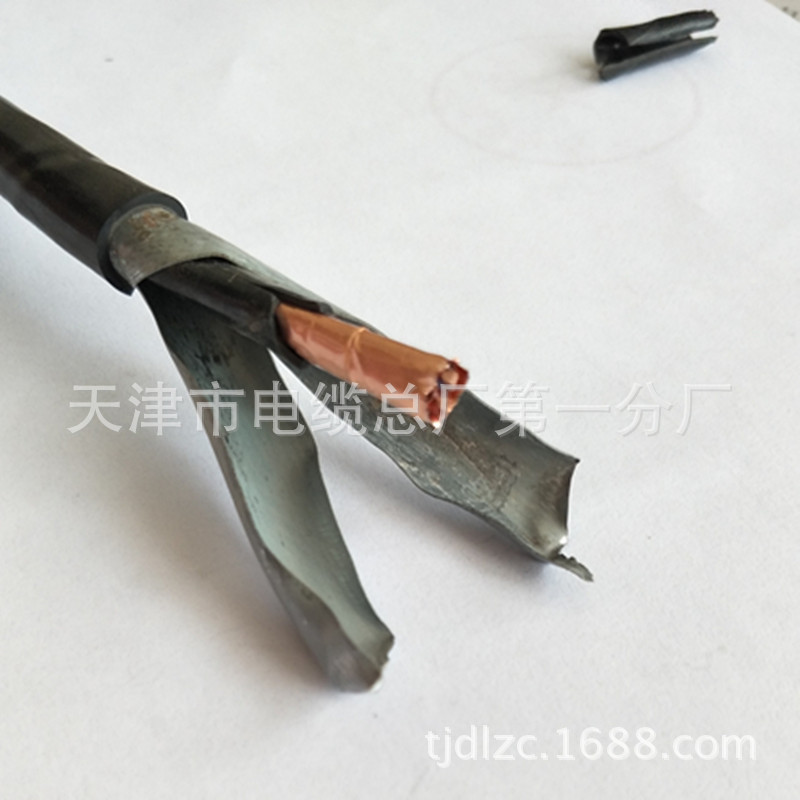 NH-KVVP2-22控制电缆 NH KVVRP2-22耐火铜带屏蔽铠装电缆-阿里巴巴