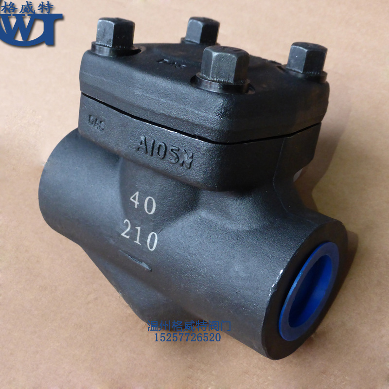 不锈钢对夹止回阀 304弹簧式 H71W-25P H71型对夹止回阀PN25逆流-阿里巴巴