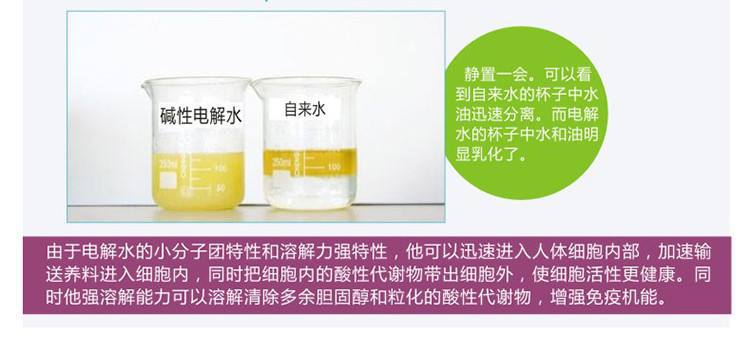 4L/桶 pH12.5 清洗去油 碱性电解离子水 强碱水 机能水 无腐蚀-阿里巴巴