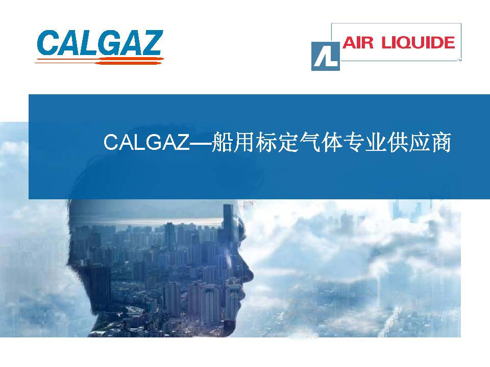 CALGAZ恺加船用标气铝瓶H2S/CO/CH4/O2/N2四合一标准气体2AL 8AL-阿里巴巴