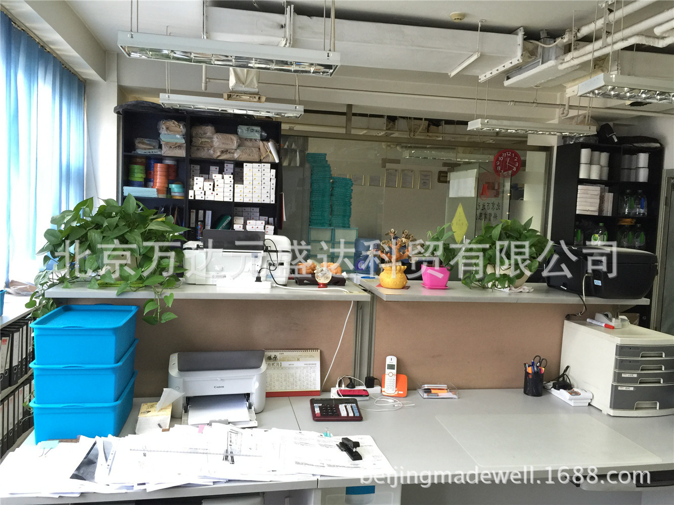 美国原装WILSON GO系列 Laundry TarGo水洗Tar Go去除油污剂 去渍-阿里巴巴