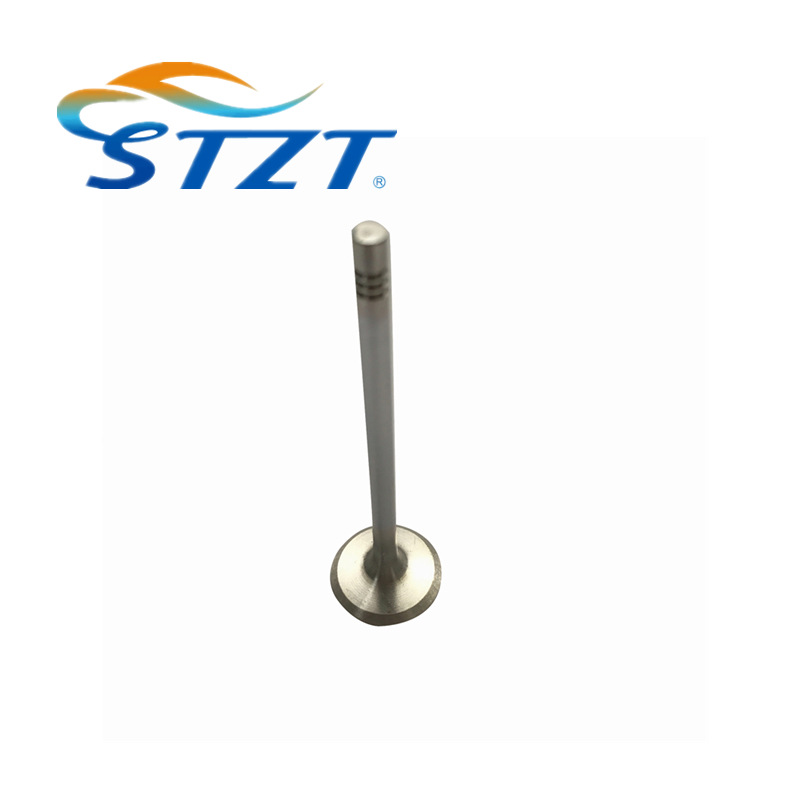 STZT 2720530801 适用于奔驰W204W251W211 发动机 进气门-阿里巴巴