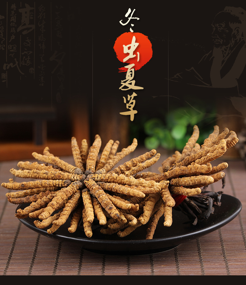 华珍品 冬虫夏草段草 冬虫夏草 批发一站式购全-阿里巴巴