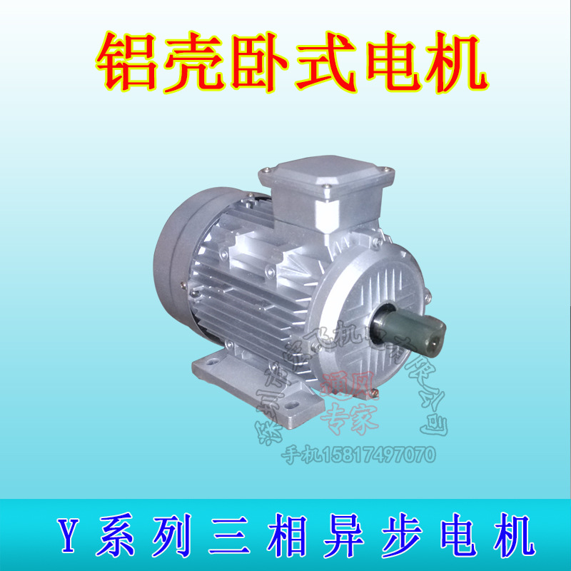 Y系列三相异步电动机Y100L-2 3KW 2级2800转 铝壳立卧式电机-阿里巴巴