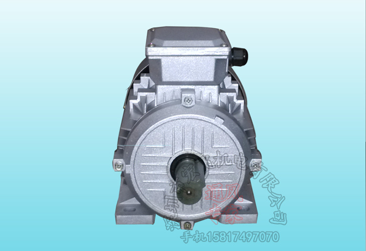 Y系列三相异步电动机Y100L-2 3KW 2级2800转 铝壳立卧式电机-阿里巴巴