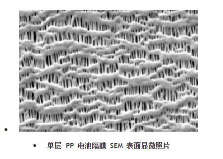 亲水隔膜/水系电池 Celgard 3501-阿里巴巴