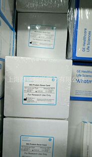 GE WHATMAN 10534612 903 Protein Saver Card蛋白保存卡-阿里巴巴