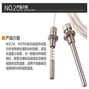 厂家供应端面热电阻 贴片式PT100温度传感器WZPM-201探头式引线-阿里巴巴