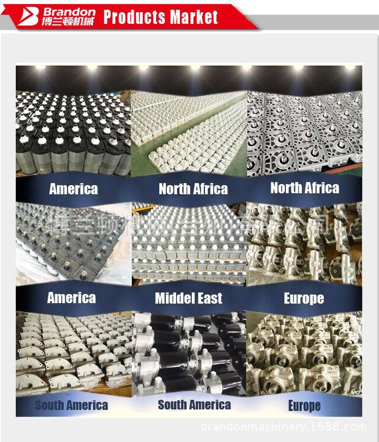 转向泵 MF 297,299,465,475,630,650,农机泵 041683T1, 041683T2-阿里巴巴