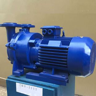 水环真空泵 2BV2061 2BV液环式真空泵 SKA电动水环式真空泵厂家-阿里巴巴